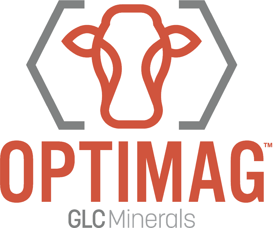 Ruminant Digestive Supplement with Magnesium for Dairy Cows