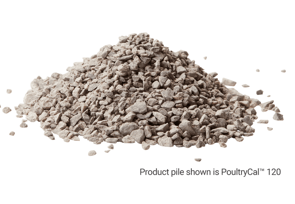 Support Healthy Production with Calcium Carbonate for Poultry