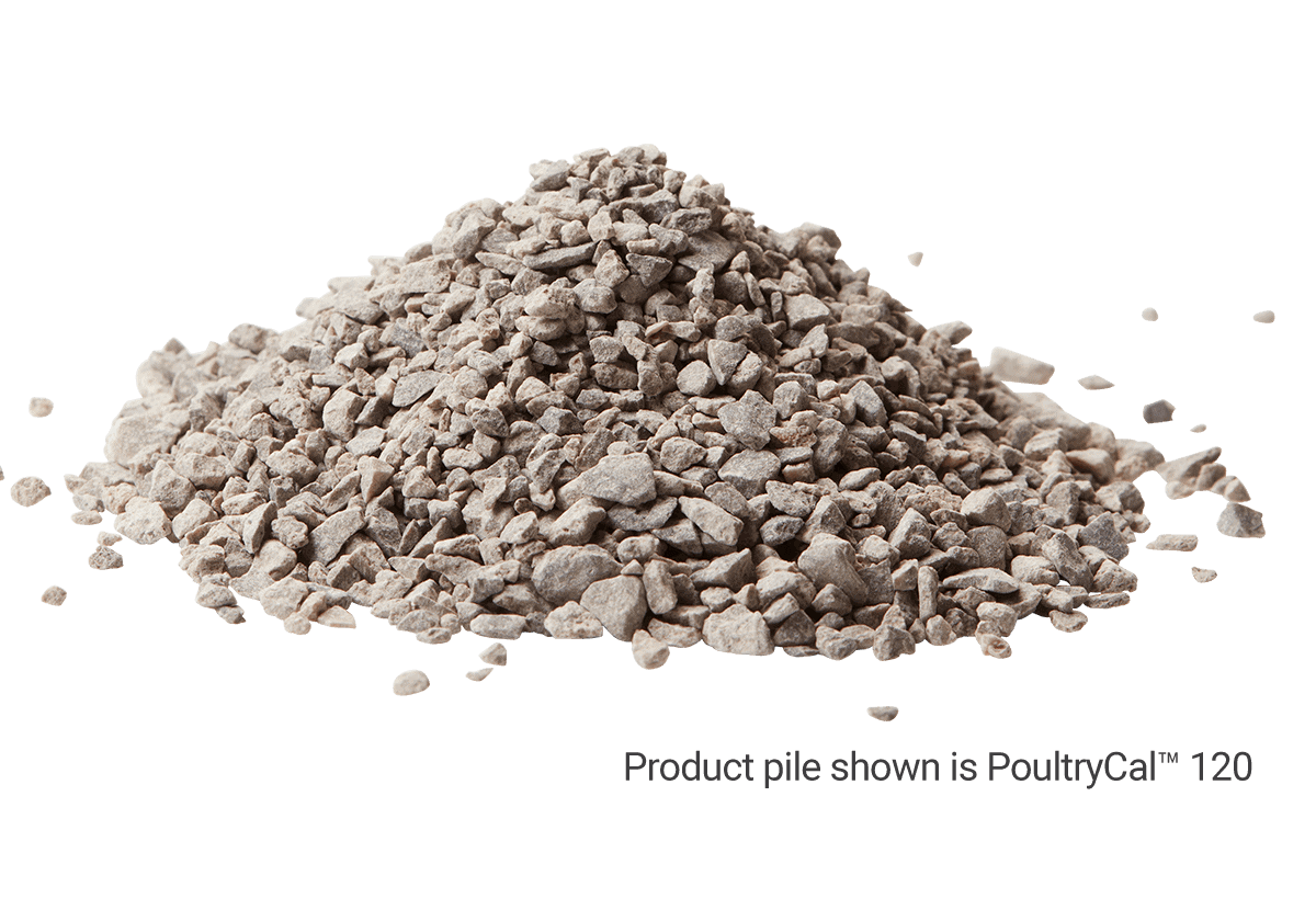 Support Healthy Production with Calcium Carbonate for Poultry